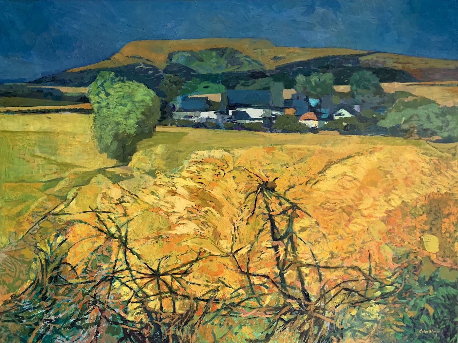 Showcase – Robert Meyrick